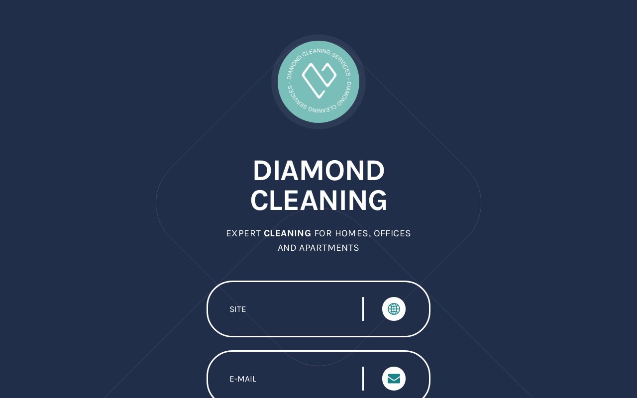 Diamond Cleaning | Link Bio